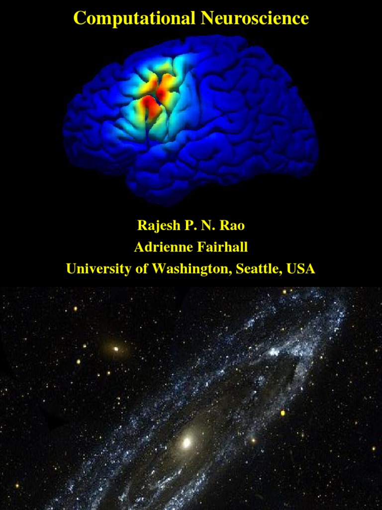 Note 1.1 For Computational Neuroscience | PDF | Computational ... Note 1.1 For Computational Neuroscience | PDF | Computational ...