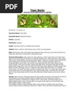 Filter Replacement Log | PDF | Filtration