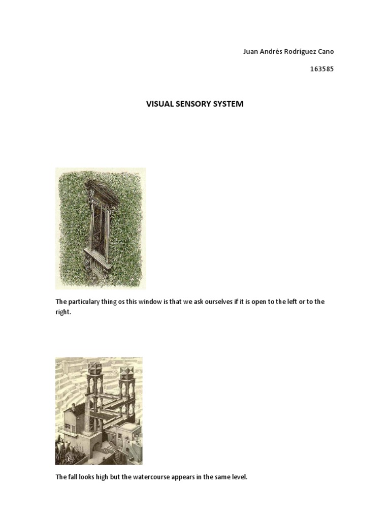Visual Sensory System | PDF