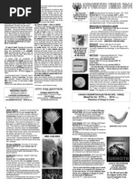 The Essene Calendar | PDF | Calendar | Hebrew Calendar