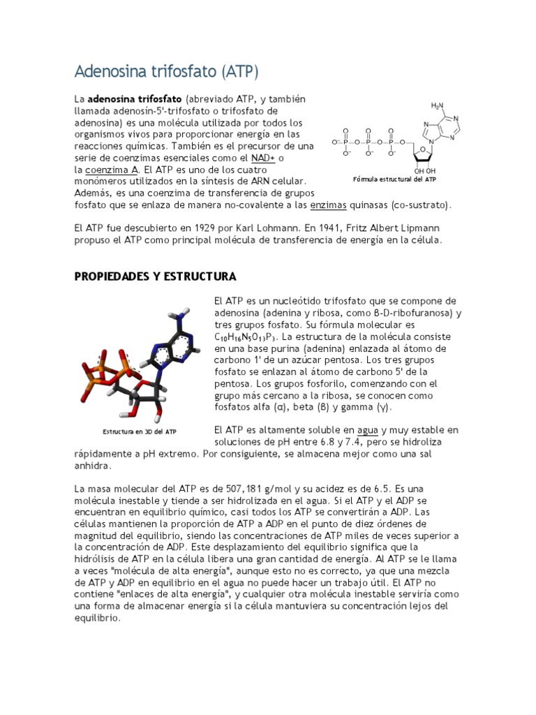 Adenosina Trifosfato | PDF | Trifosfato de adenosina | Cadena de transporte de electrones