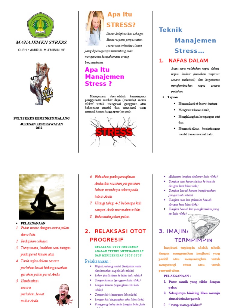 Leaflet Stress | PDF