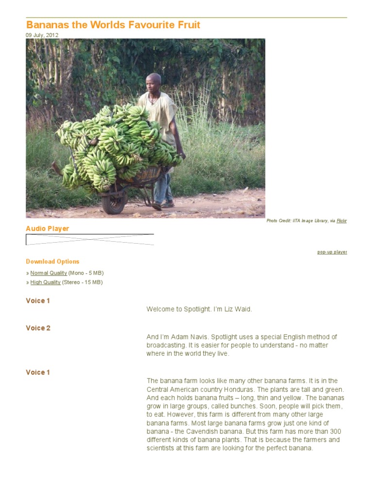 Bananas: The World's Favorite Fruit | PDF | Banana | Food And Drink