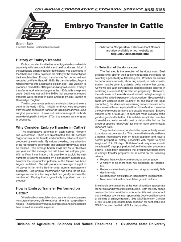 Embryo Transfer Cattle | PDF