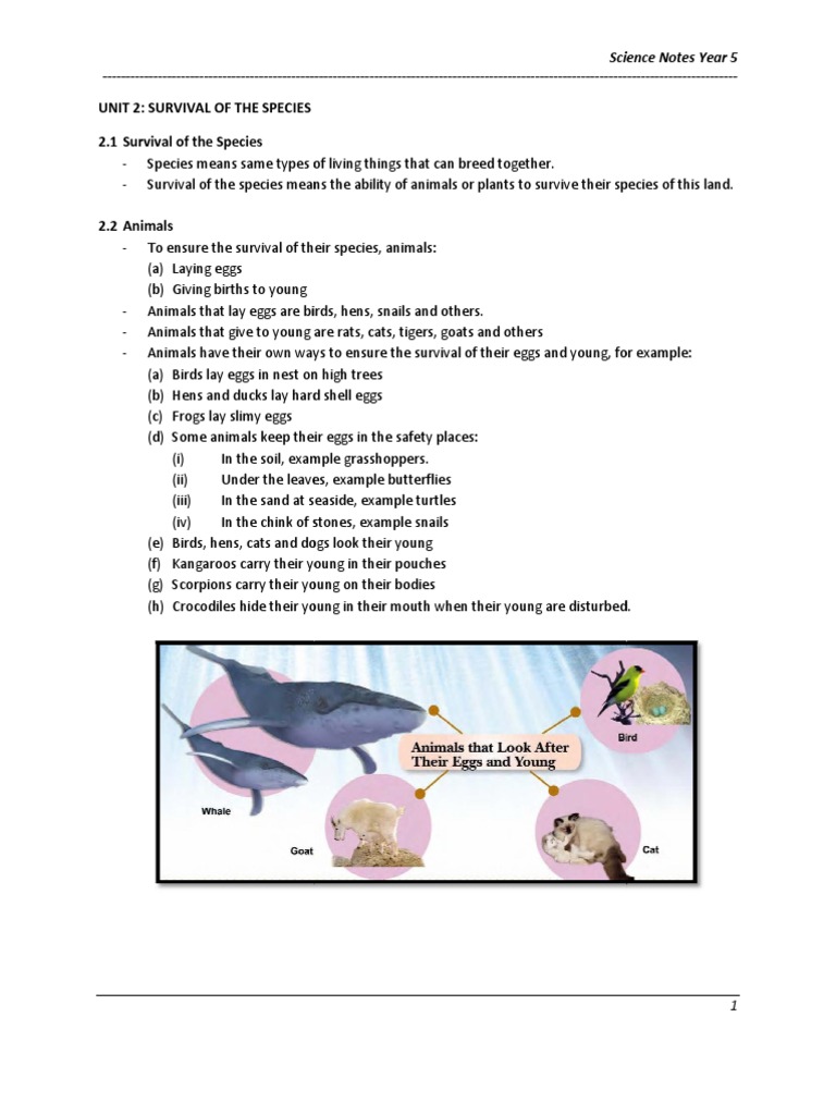 Unit 2: Survival of The Species 2.1 Survival of The Species | PDF ...