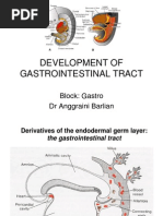 Development of Gastrointestinal System | PDF | Gastrointestinal Tract ...
