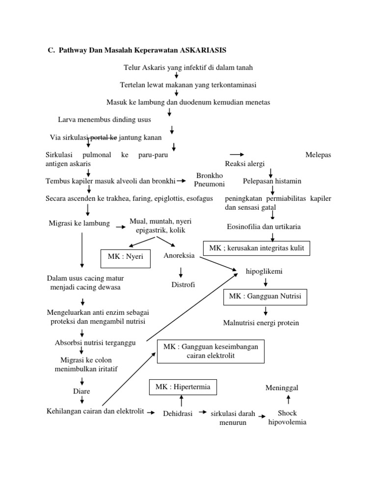 Pathway Askariasis | PDF