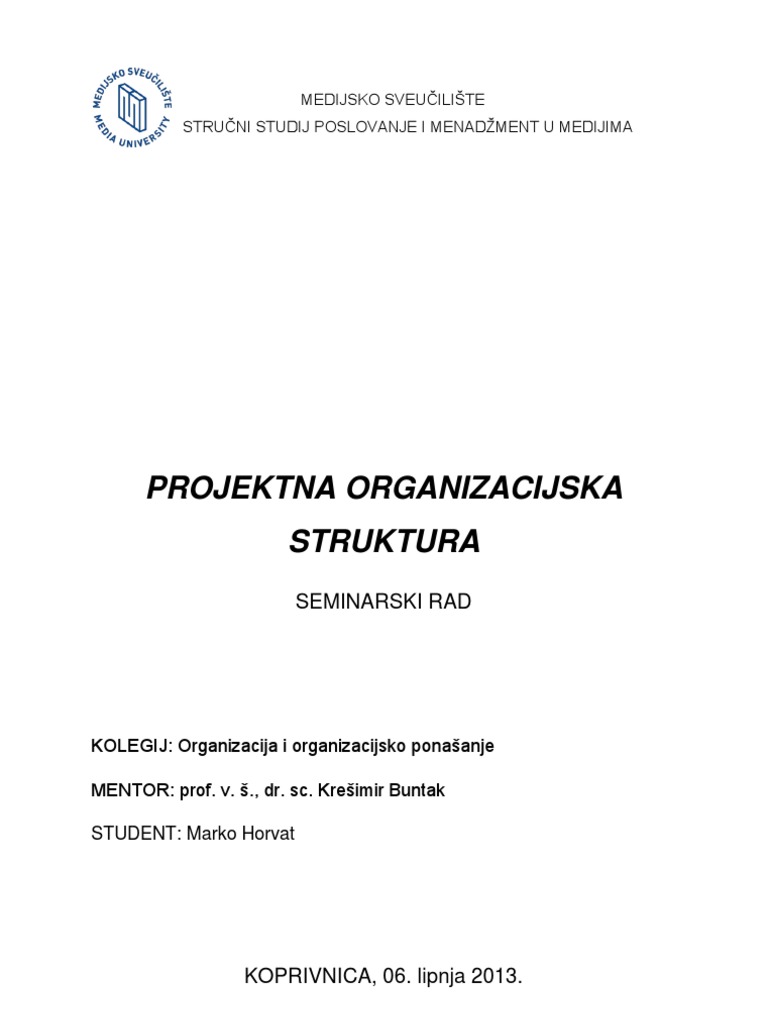 Projektna Organizacijska Struktura | PDF