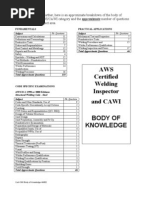 CWI Exam User Guide 2023 | PDF