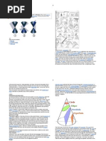 Pingala - Inventor of Binary Number System and Pascal Triangle | PDF ...