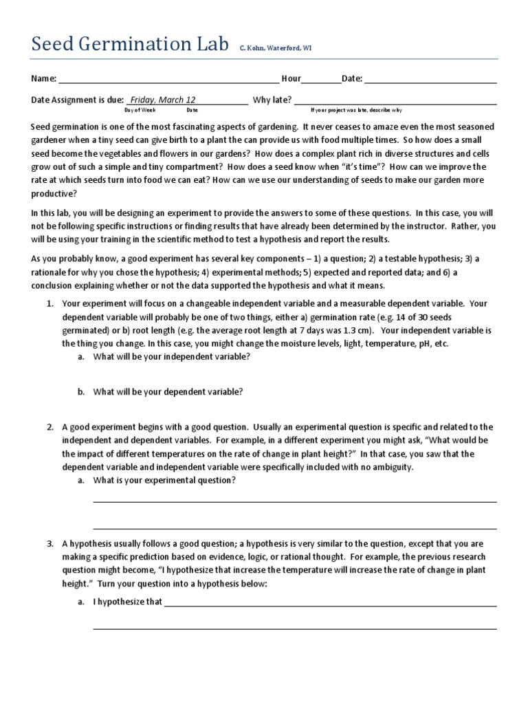 5C Seed Germination Lab | PDF | Experiment | Seed