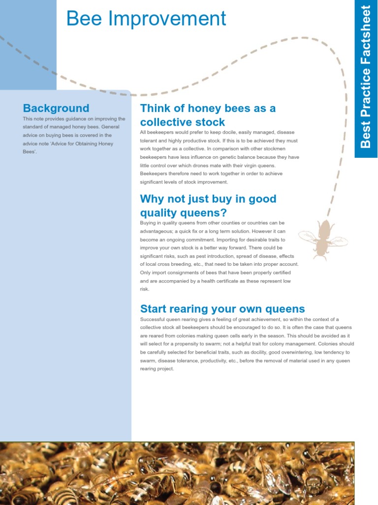 Bee Best Practice Guidance | Beekeeping | Honey Bee