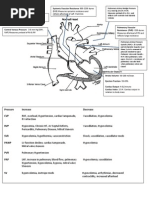 EMS Capnography Waveforms | PDF | Respiratory System | Animal Physiology