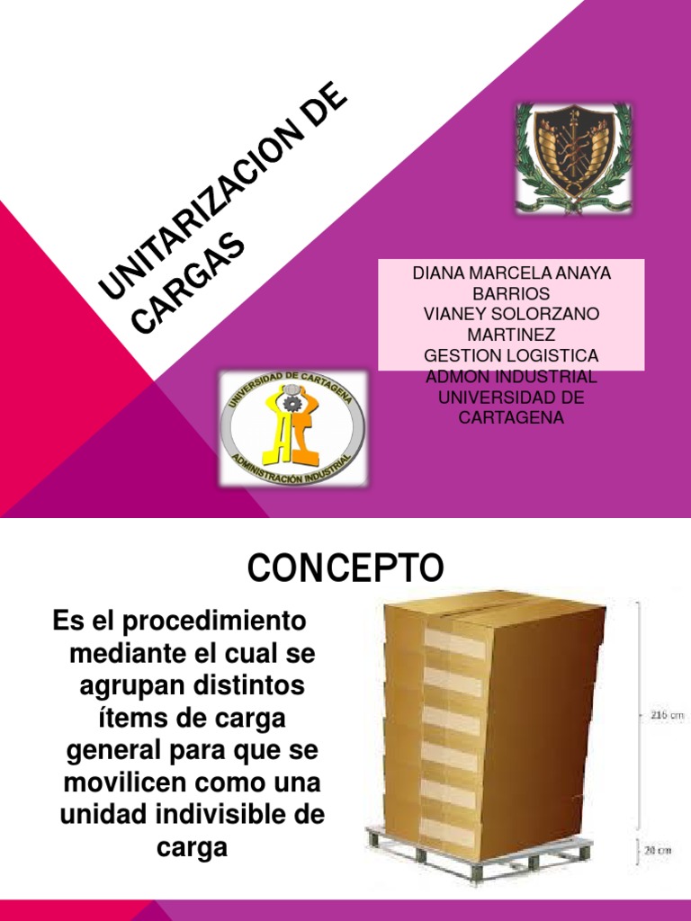 Unitarizacion de Cargas | PDF | Transporte | Science