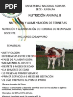 Sistema de Producción de Leche en Granjas Bovinas Familiares | PDF | Vacas | Leche