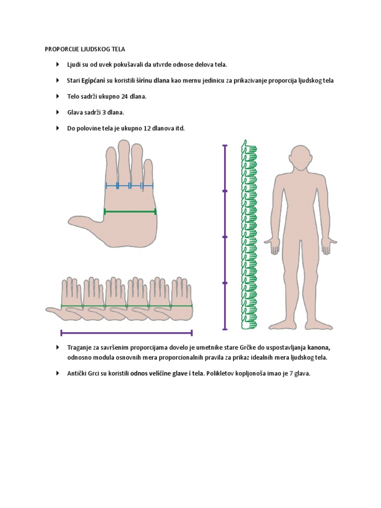 Proporcije Ljudskog Tela | PDF