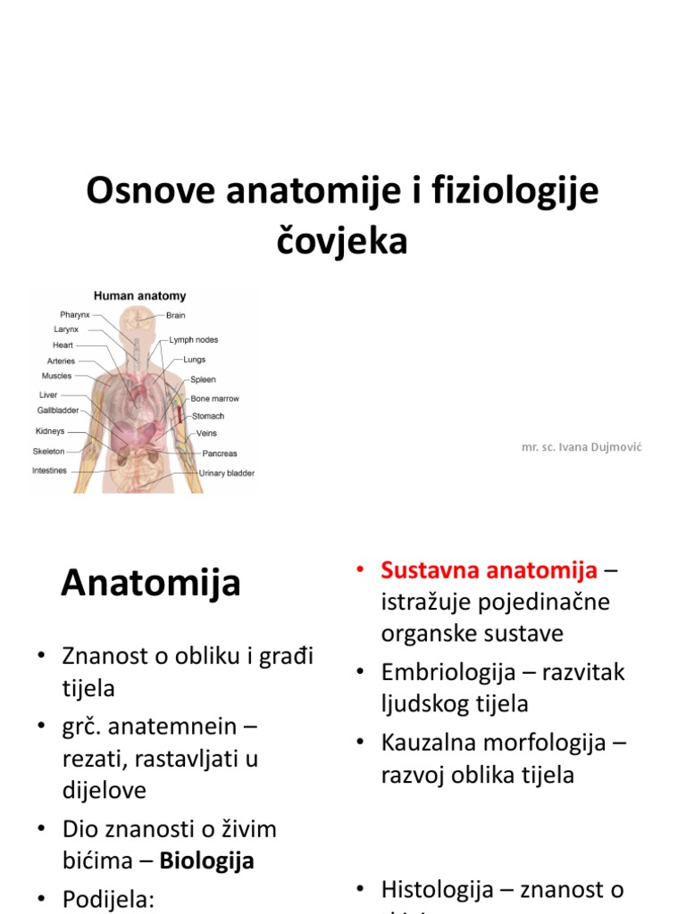Osnove Anatomije I Fiziologije Covjeka | PDF