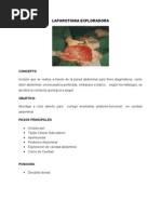 Incisión Rocky Davis | PDF | Medicina CLINICA | Anatomía