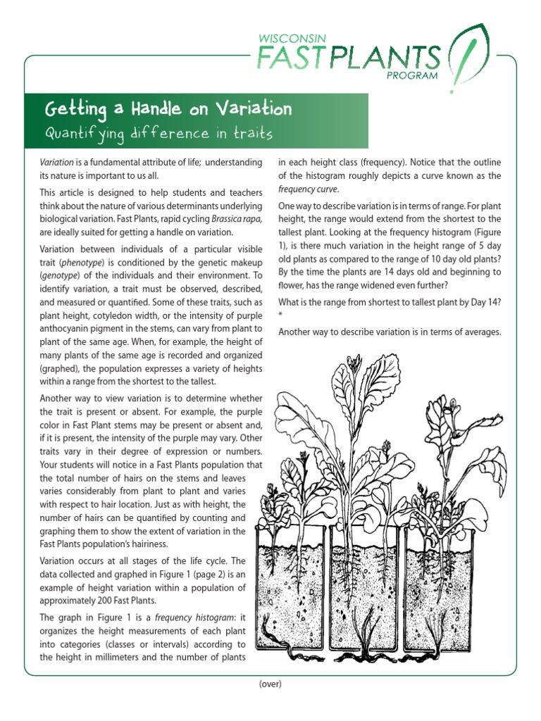 Understanding Plant Variation | PDF | Phenotypic Trait | Plants