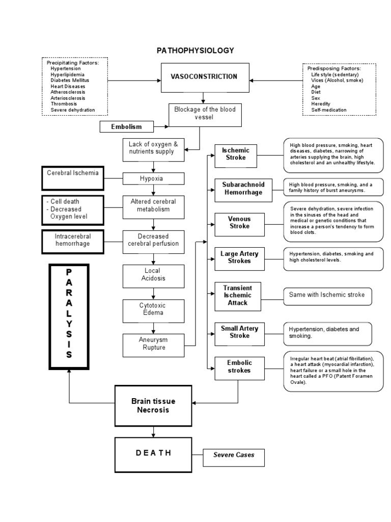Stroke Pathophysiology | Stroke | Ischemia