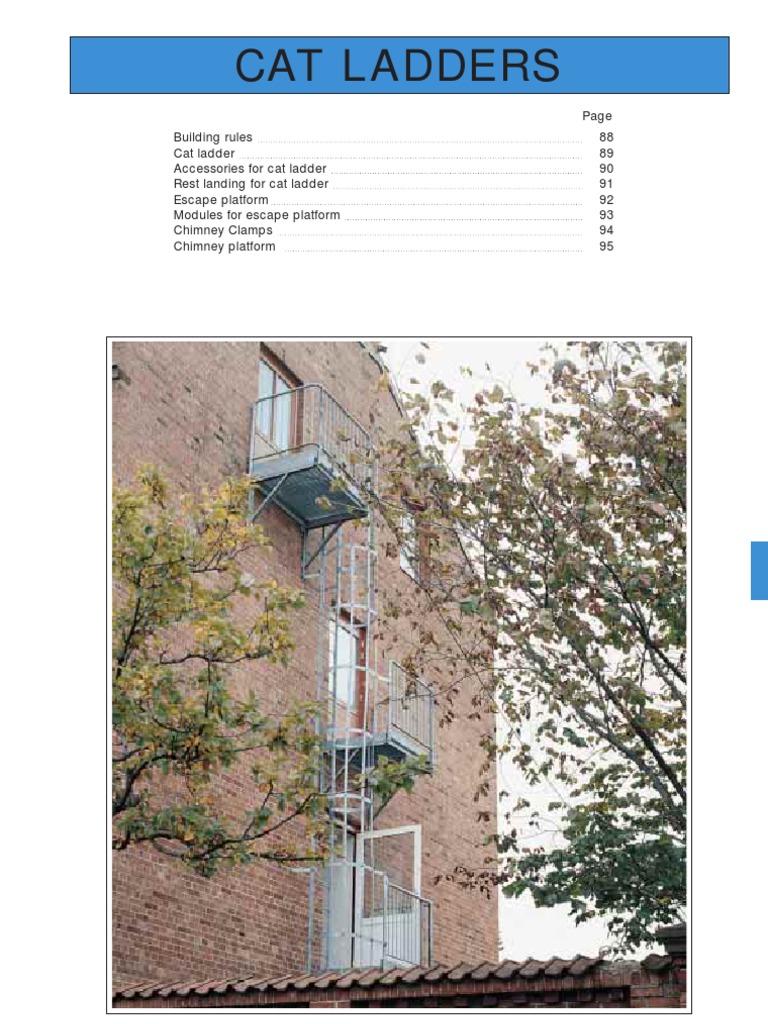 Cat Ladder Design and Safety Standards | PDF