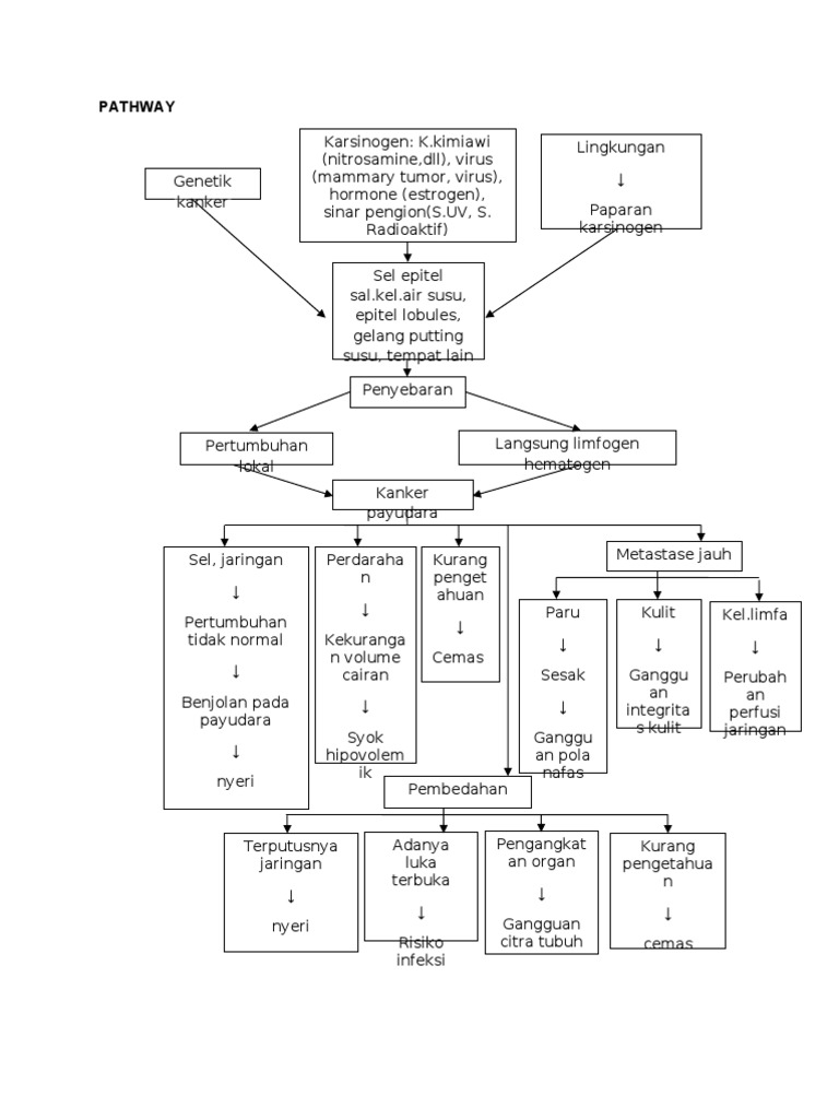 Pathway CA - Mammae | PDF