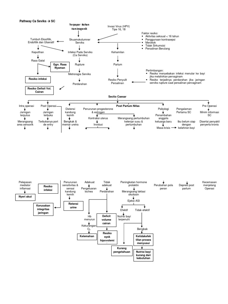 Pathway Kanker Serviks dan SC | PDF | Sains & Matematika