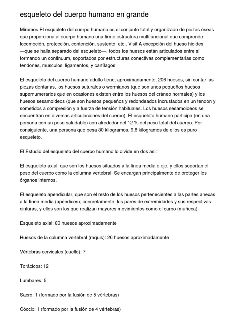Estructura del Esqueleto Humano: Huesos y Funciones | PDF | Esqueleto ...