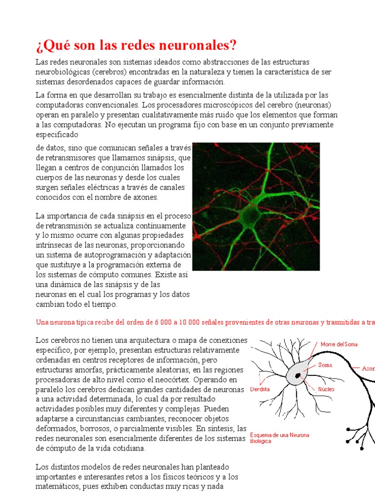 Redes Neuronales | PDF