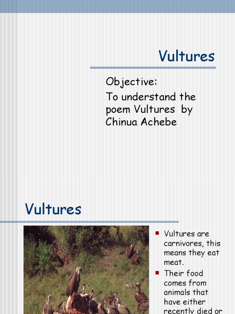 Analysis of Achebe's Poem "Vultures" | PDF
