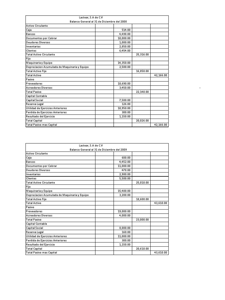 Formato | Hoja de balance | Contabilidad