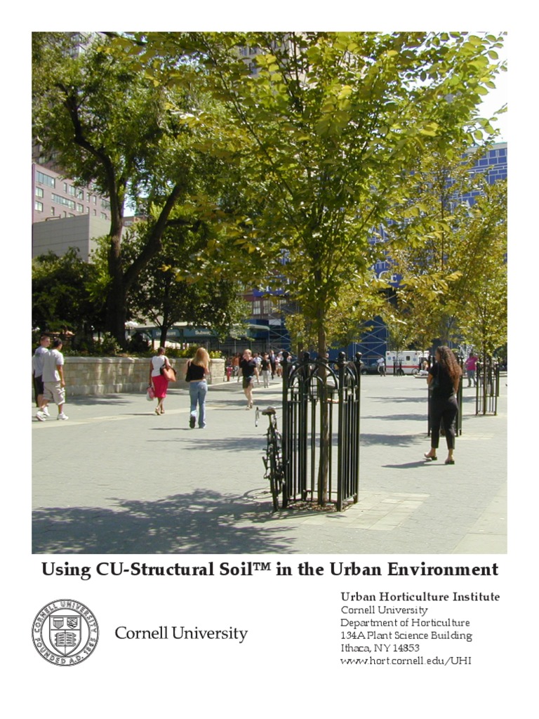 Cu Structural Soil Urban Environment | Download Free PDF | Road Surface ...