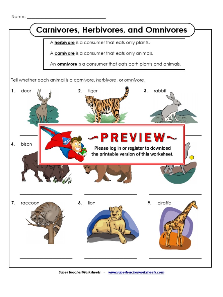 Carnivores Herbivores And Omnivores Worksheets KS1 Carnivore,