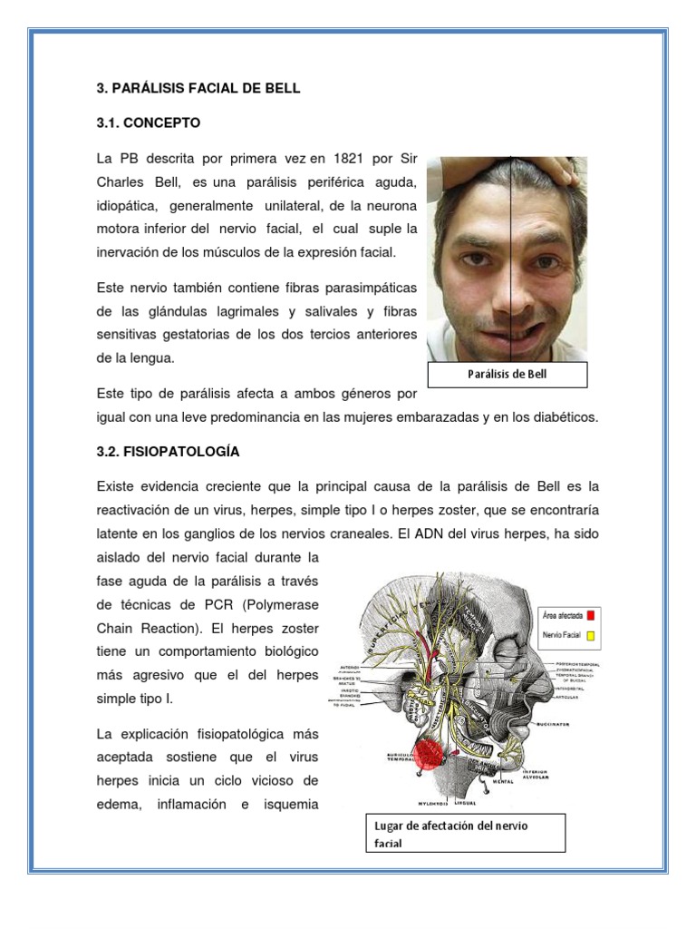 Anatomia Casos Clinicos | PDF | Medicina | Enfermedades y trastornos