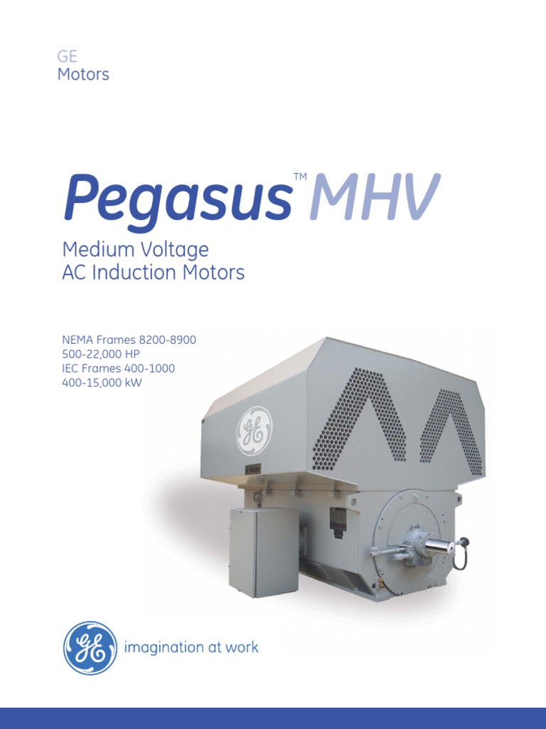 Pegasus Medium Voltage Induction Motors | PDF
