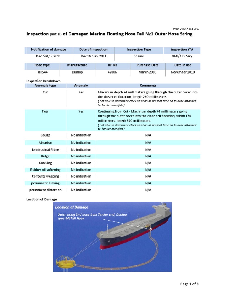 Initial Inspection of Marine Hose Damage | PDF | Nature