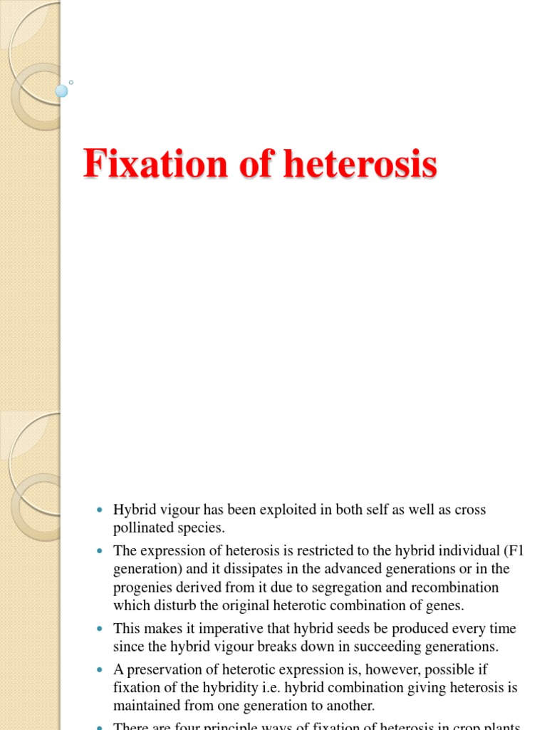 Fixation of Heterosis | PDF | Hybrid (Biology) | Zygosity