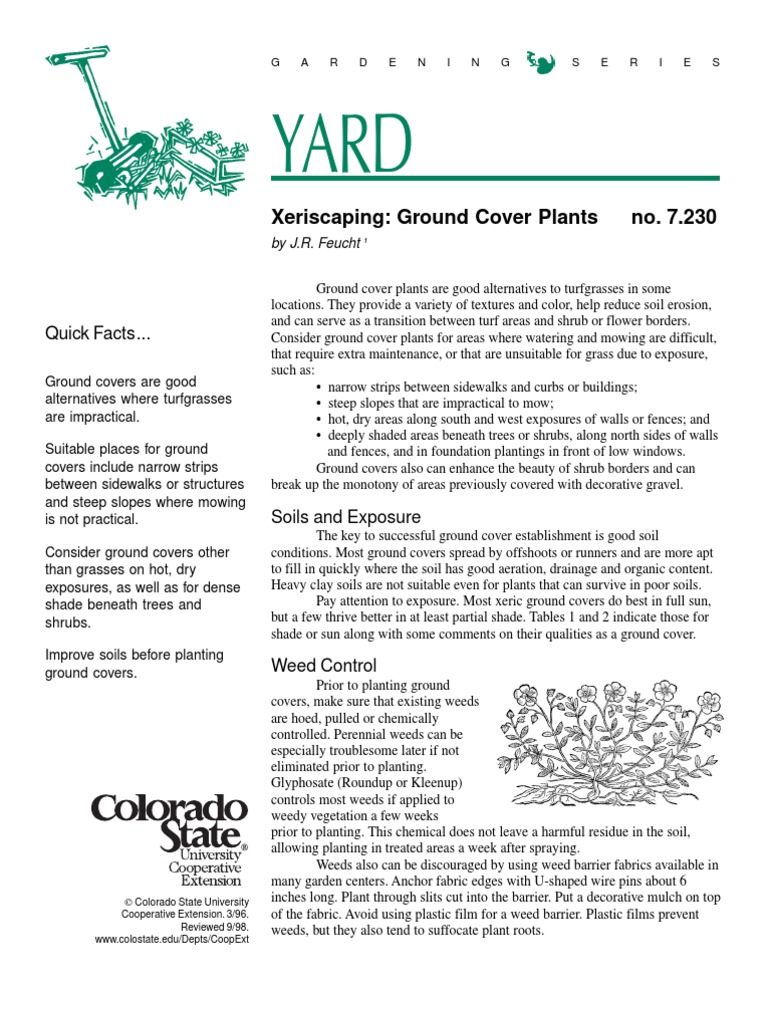 (Gardening) Xeriscaping - Ground Cover Plants | PDF