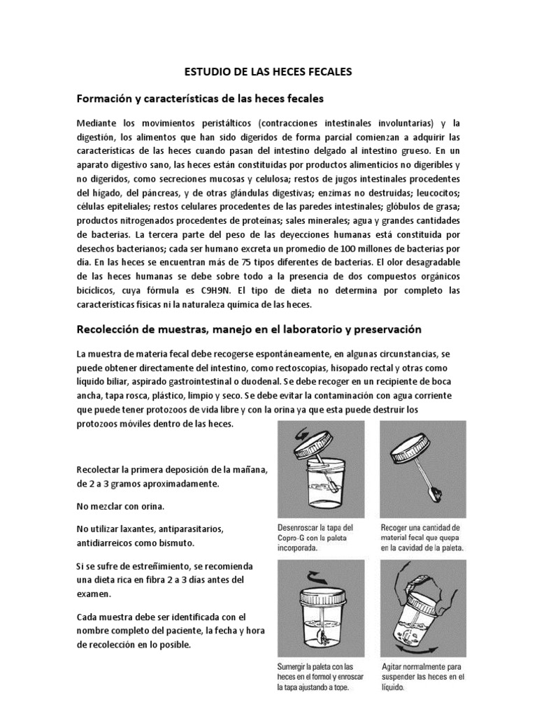 HECES (Todos) | PDF | Heces | Biología
