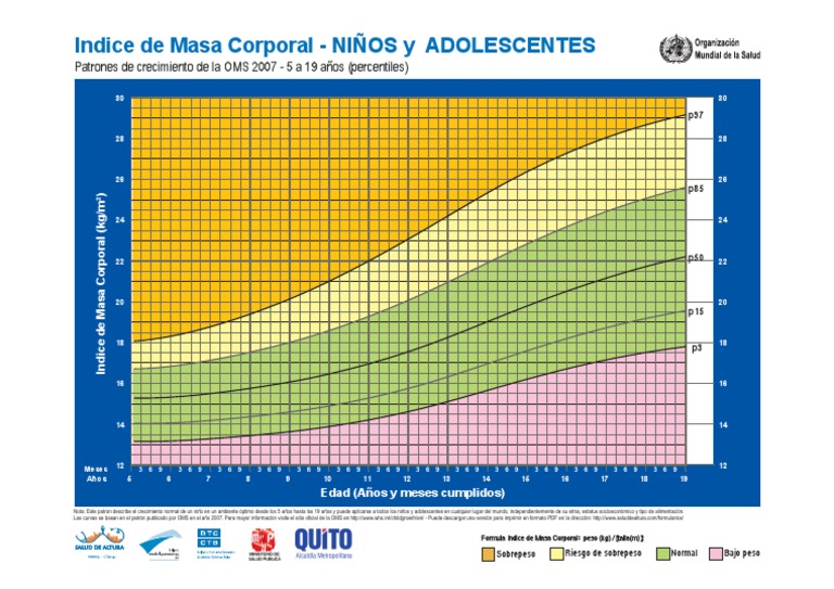 IMC Ninos 5 A 19 Anos PDF | PDF
