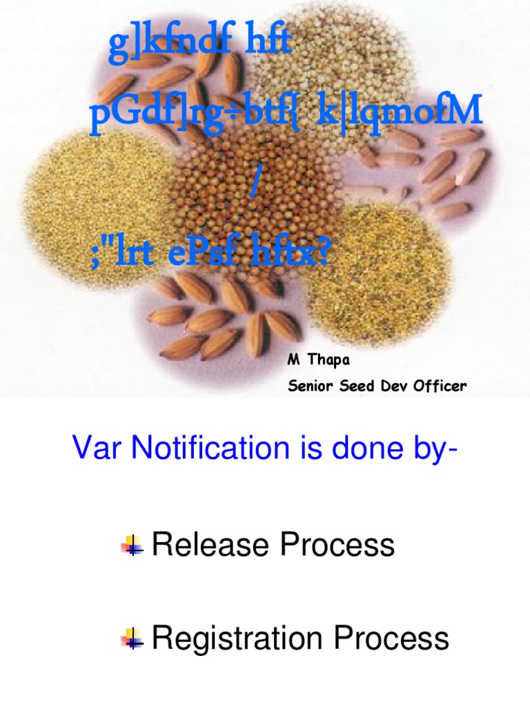 Variety Release and Register Process | PDF | Ethnobotany | Vegetables