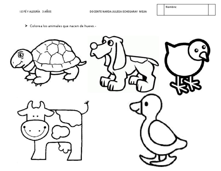Colorea Los Animales Que Nacen de Huevo | PDF