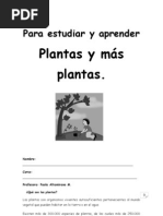 Cuadernillo Plantas | PDF | Plantas | Flores