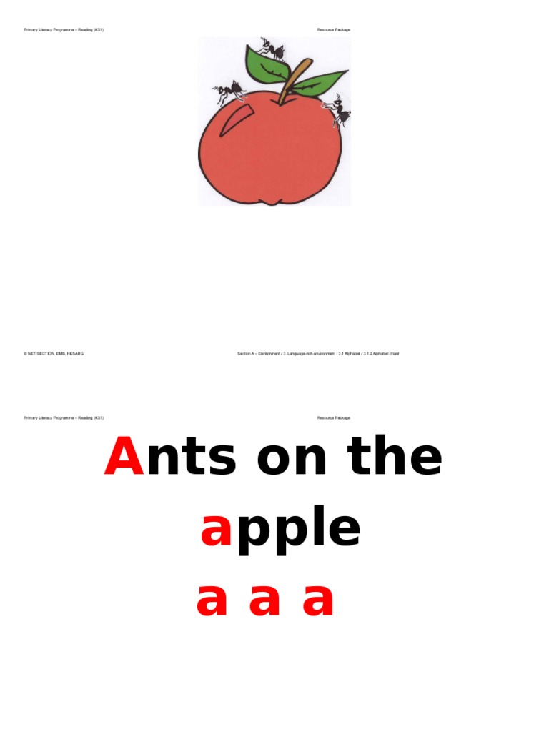 Alphabetchant Ants On Apple | PDF