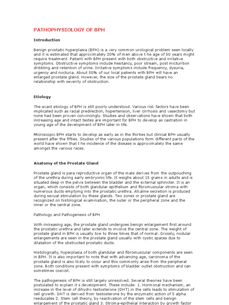 Intro (BPH) | PDF | Prostate | Animal Anatomy