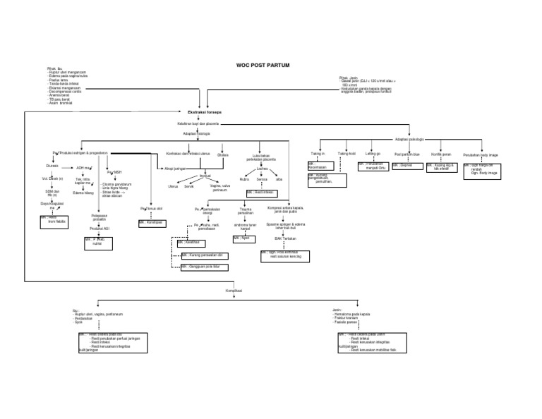 WOC - Post Partum2 | PDF
