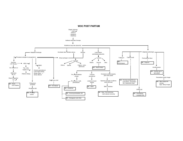 WOC - Post Partum Baru | PDF