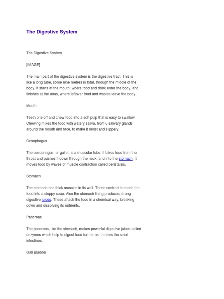 The Digestive System | PDF | Digestion | Human Digestive System