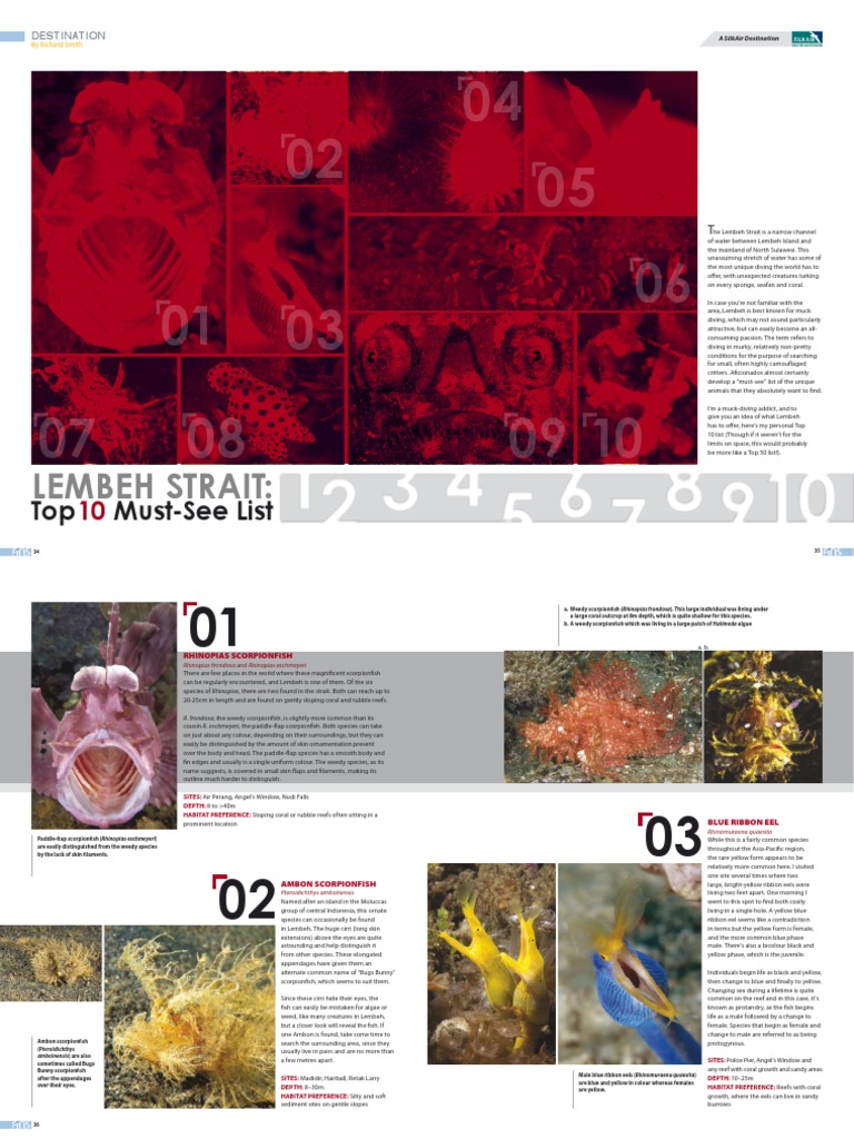 Top 10 Unique Dive Species in Lembeh | PDF | Nature