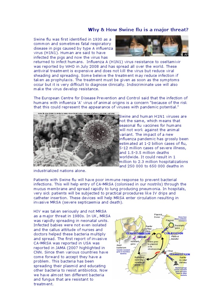 Swine Flu and MRSA Infections | PDF | Swine Influenza | Influenza